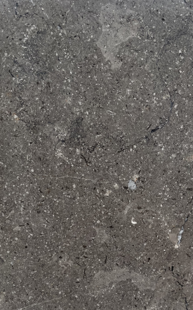 SINAI PEARL GREY - Egyptian Lebanese Co - ELC